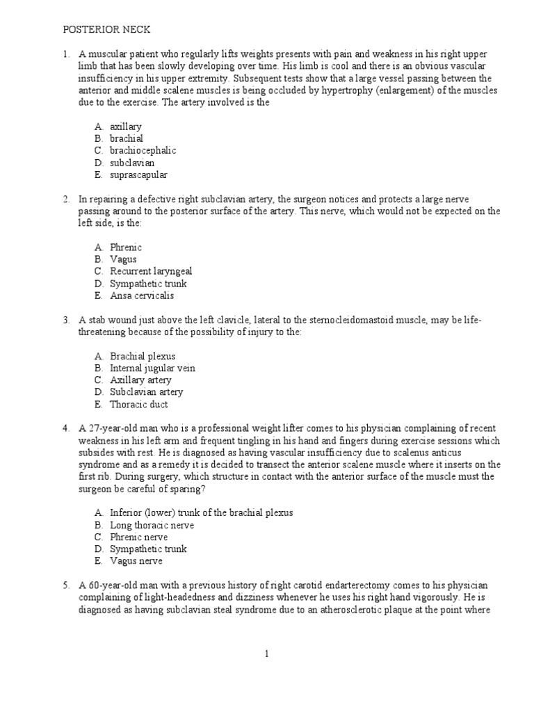 Head & Neck Part 2 | PDF | Common Carotid Artery | Neck