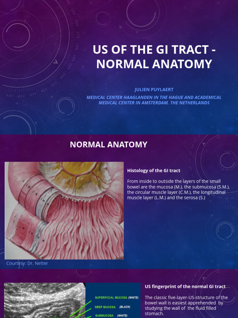 Ultrasound Anatomy of the GI Tract | PDF | Gastrointestinal Tract | Stomach