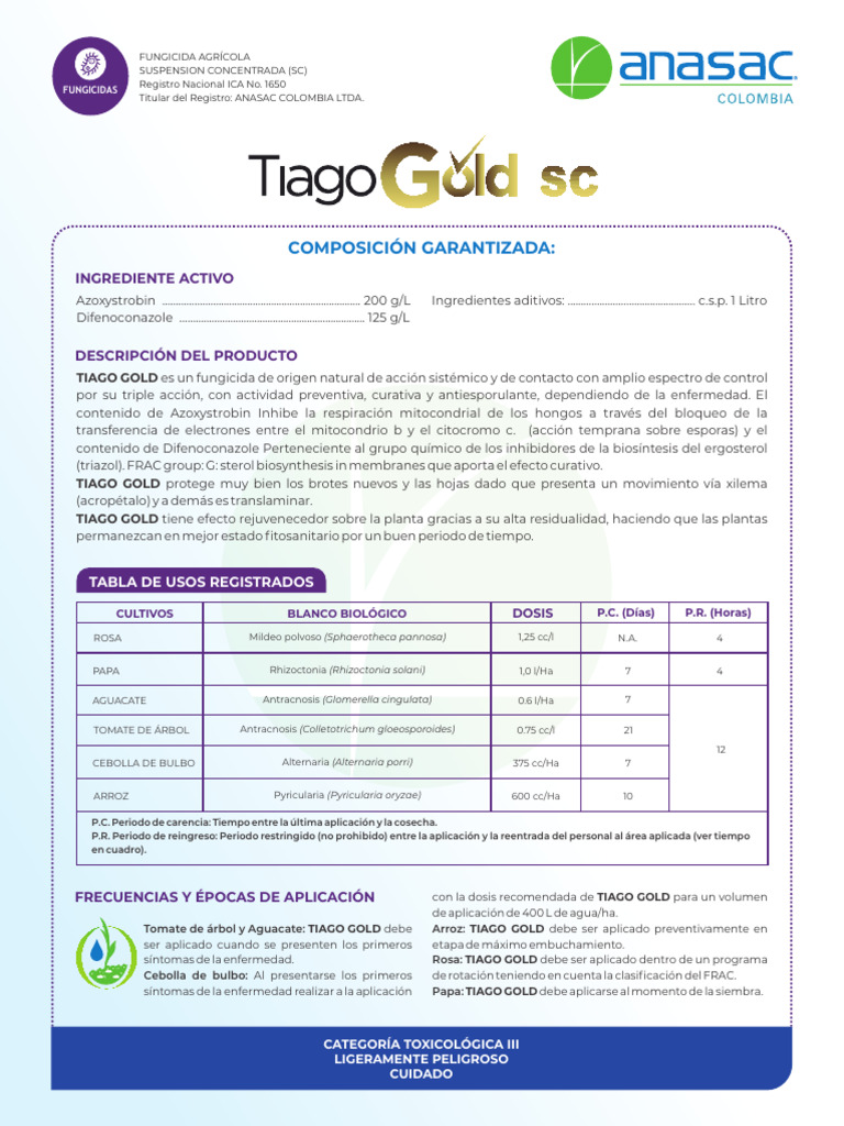 F. Tecnica Tiago Gold | PDF