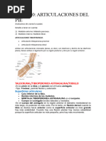 Ligamentos del Pie: Estructura y Función | PDF | Pie | Anatomía del ...