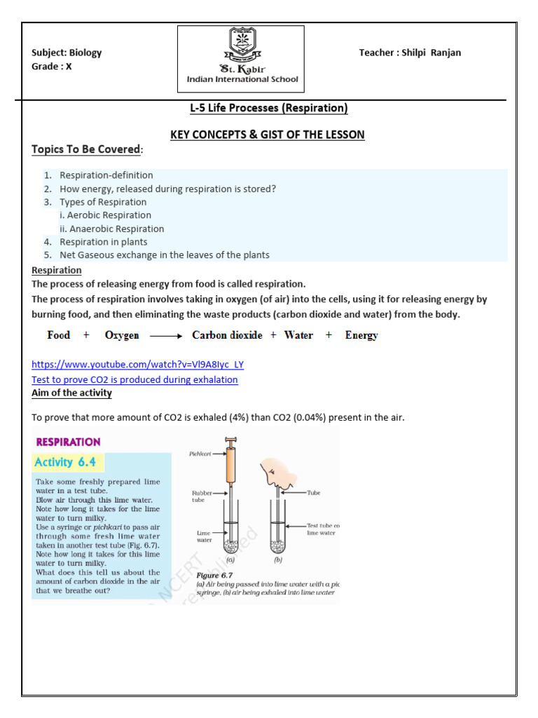 Life Processes: Respiration Explained | PDF | Cellular Respiration ...