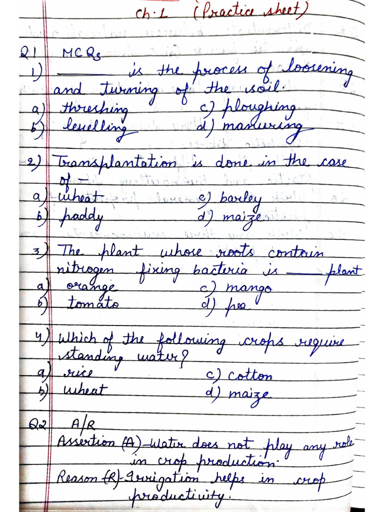 Class 8 Ch. 1 Practice Sheet | PDF