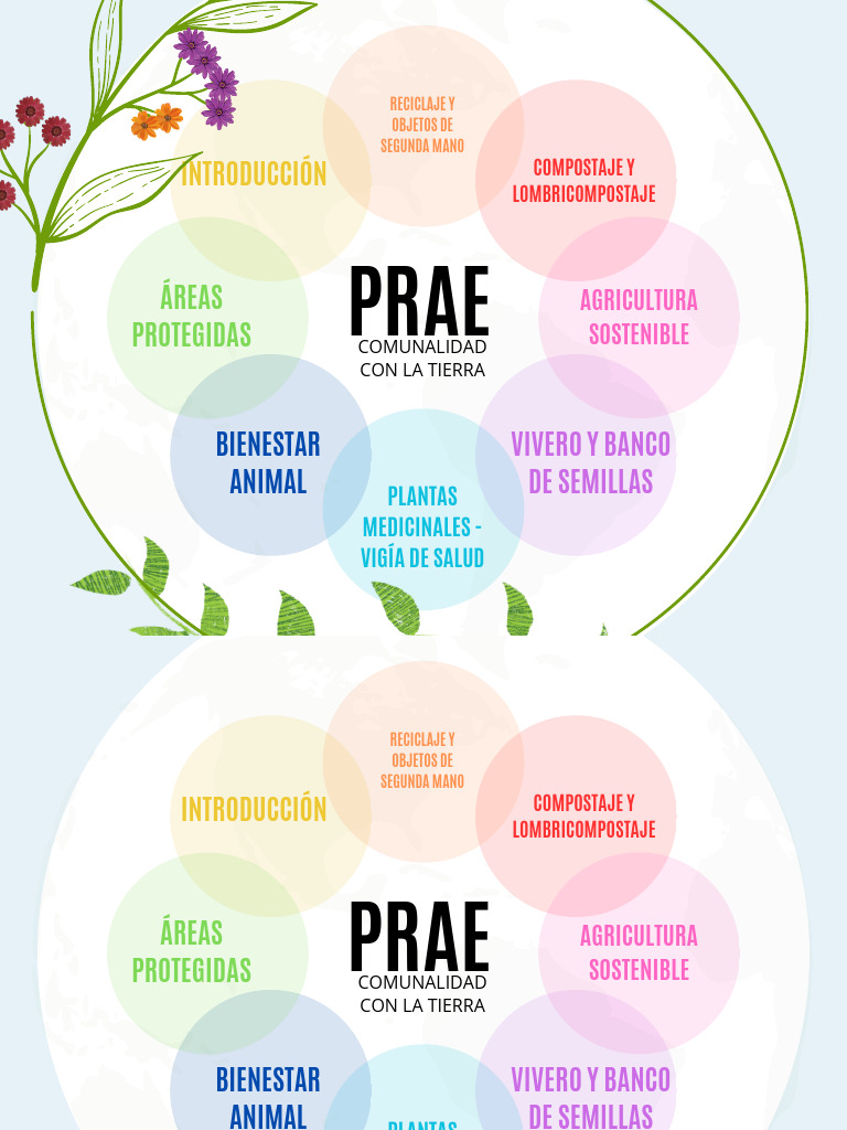 Proyecto Prae - Piaget | PDF | Entorno natural | Economía y medio ambiente