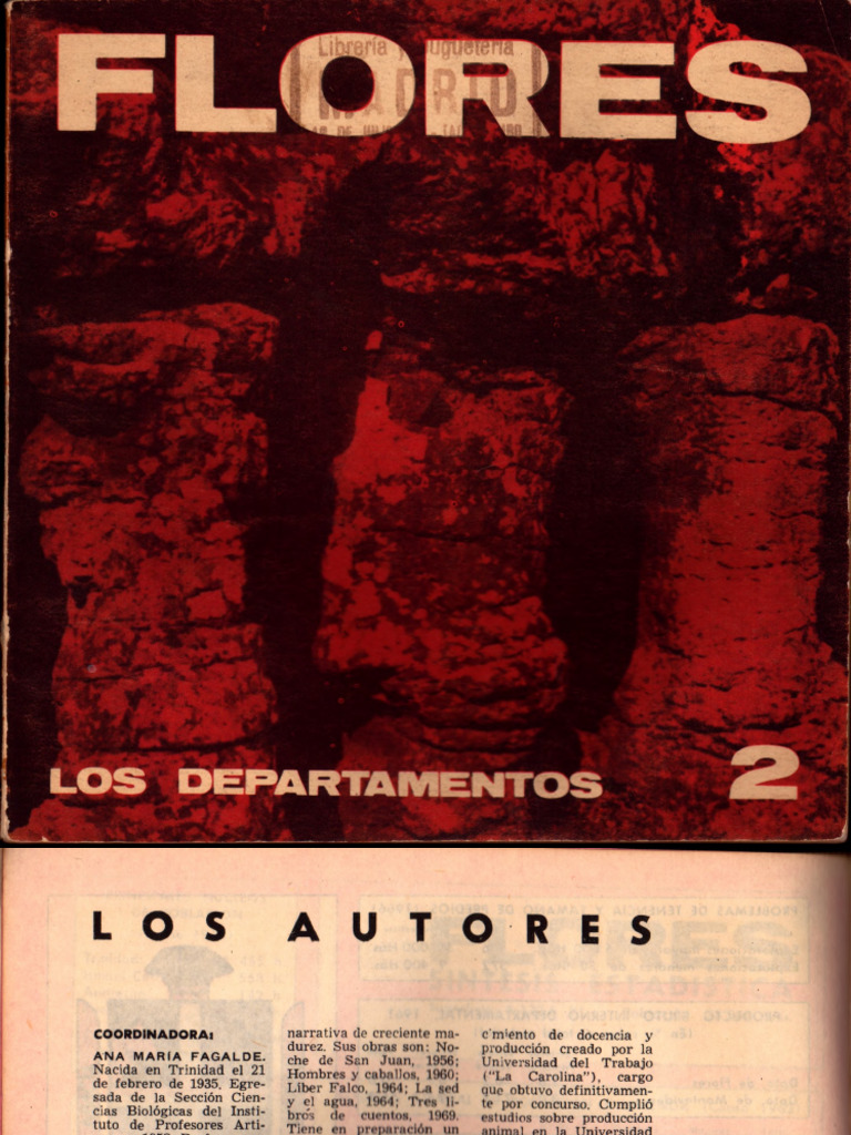 Cuento Flores - PDF Terminado | PDF