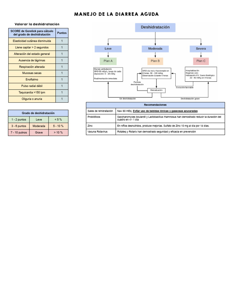 Manejo de La Diarrea Aguda: SCORE de Gorelick para Cálculo Del Grado de ...