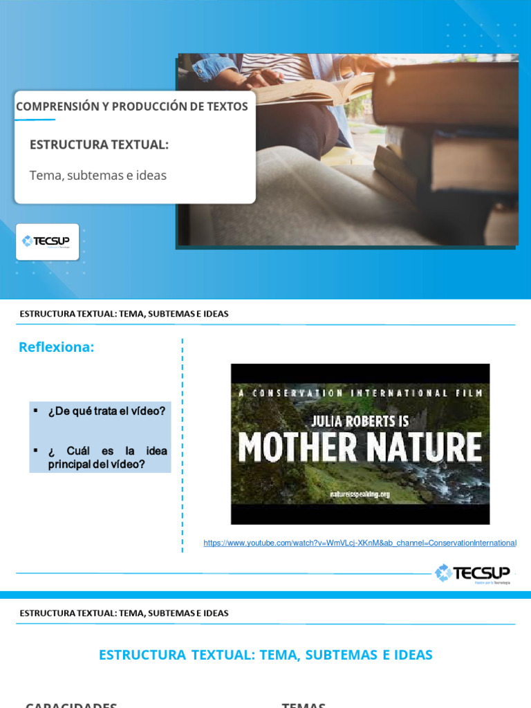 2-Estructura Textual (Tema, Subtemas e Ideas) | Descargar gratis PDF ...