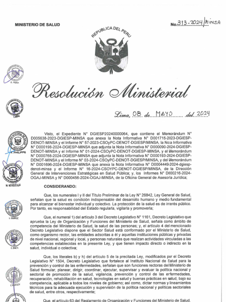 RM-313-2024-minsa | PDF