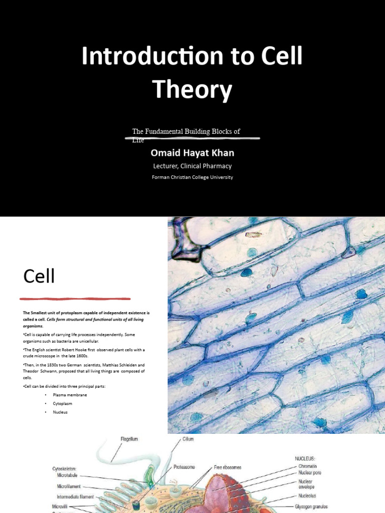 Cell and Tissues | PDF | Endoplasmic Reticulum | Cell Membrane
