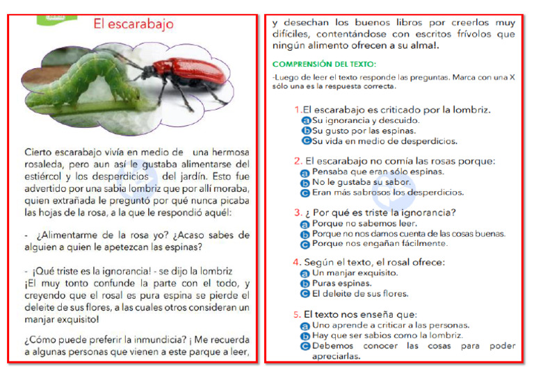 Lectura El Escarabajo | PDF