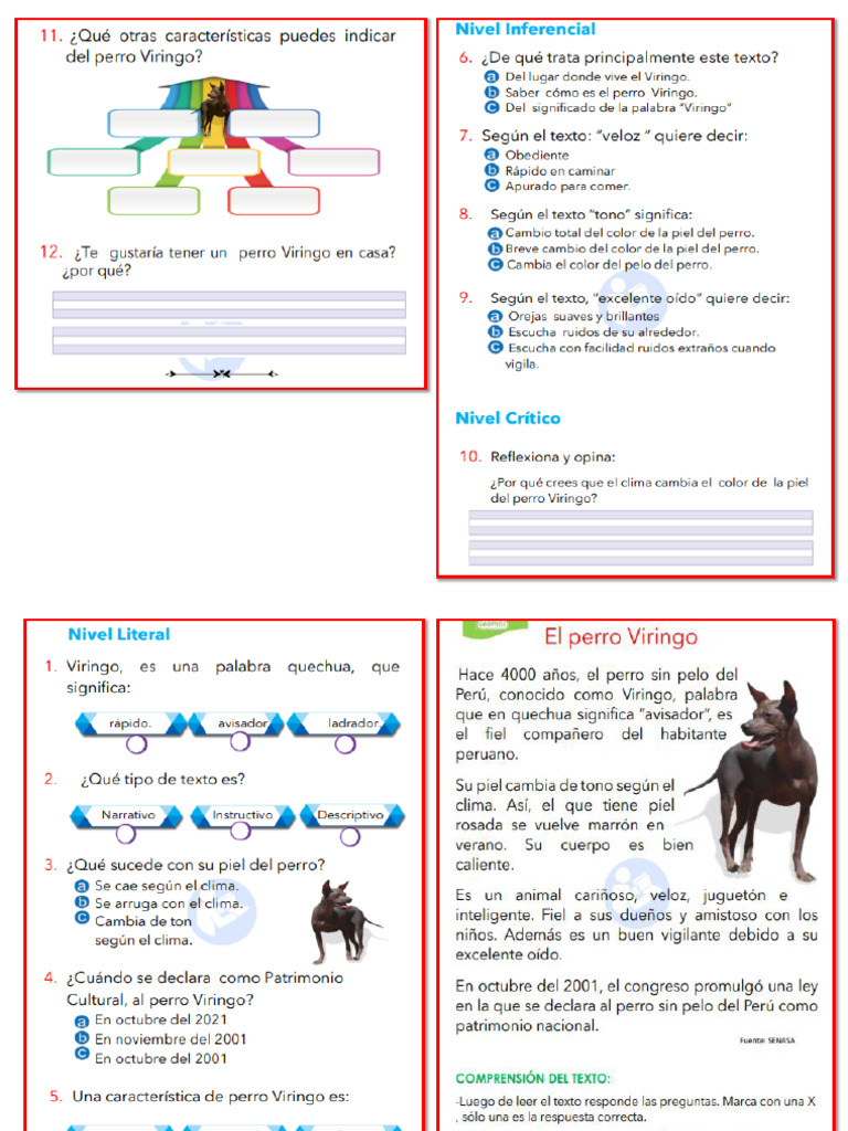 Lectura El Perro Viringo | PDF