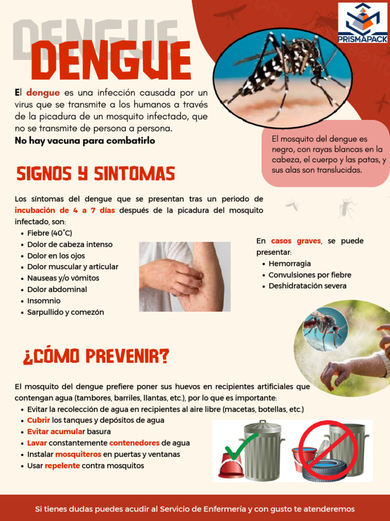 Cartel Prevención Del Dengue | PDF