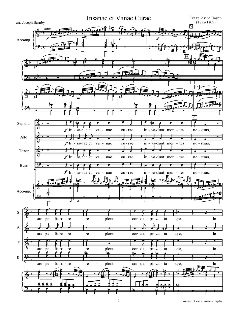 Haydn - Insanae Et Vanae Curae | PDF