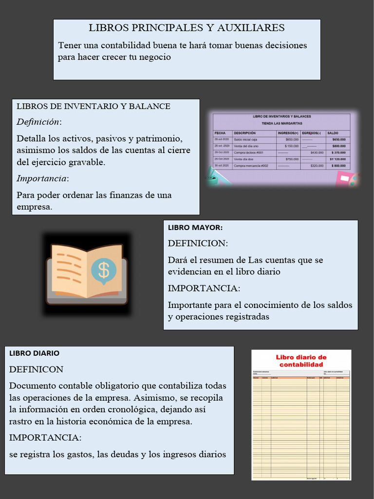 Libros Principales y Contables | PDF