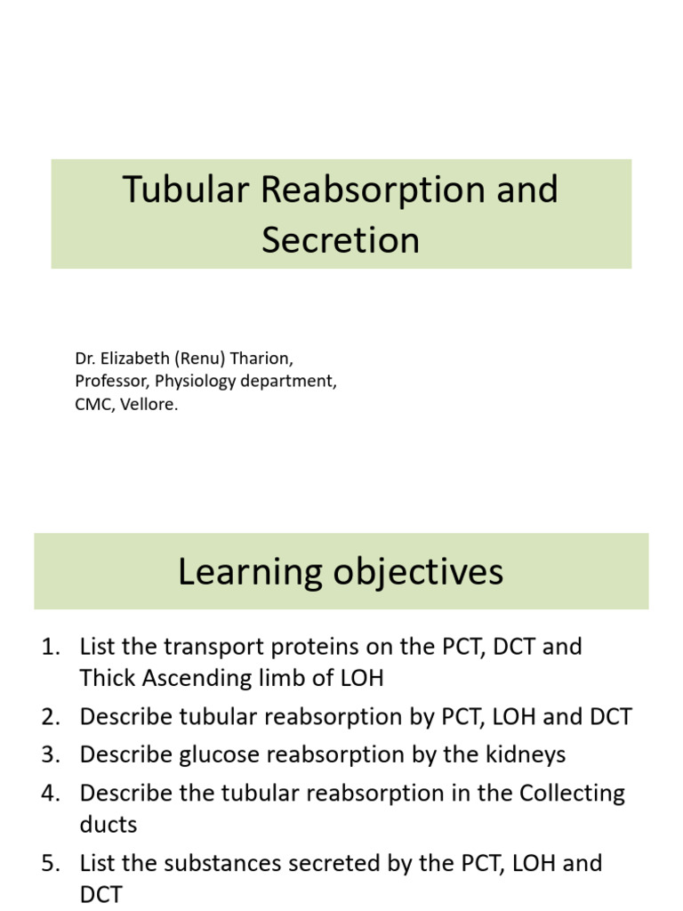 3.Urine formation - Tubular Reabsorption and Tubular Secretion ...