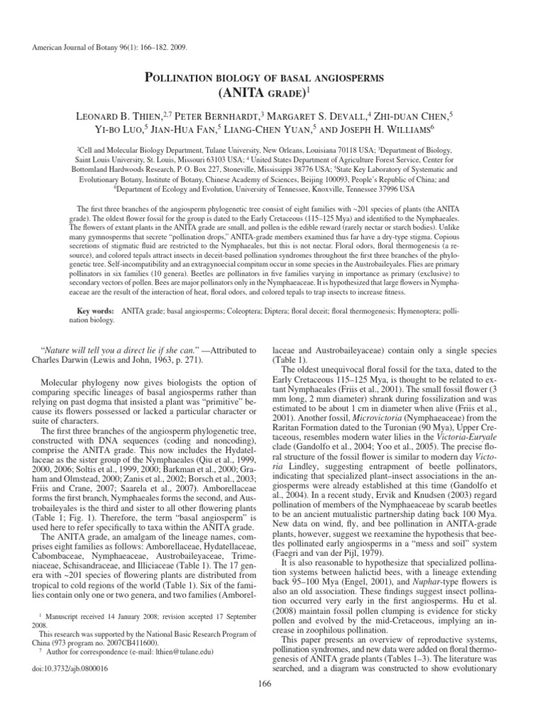 American J of Botany - 2009 - Thien - Pollination Biology of Basal ...