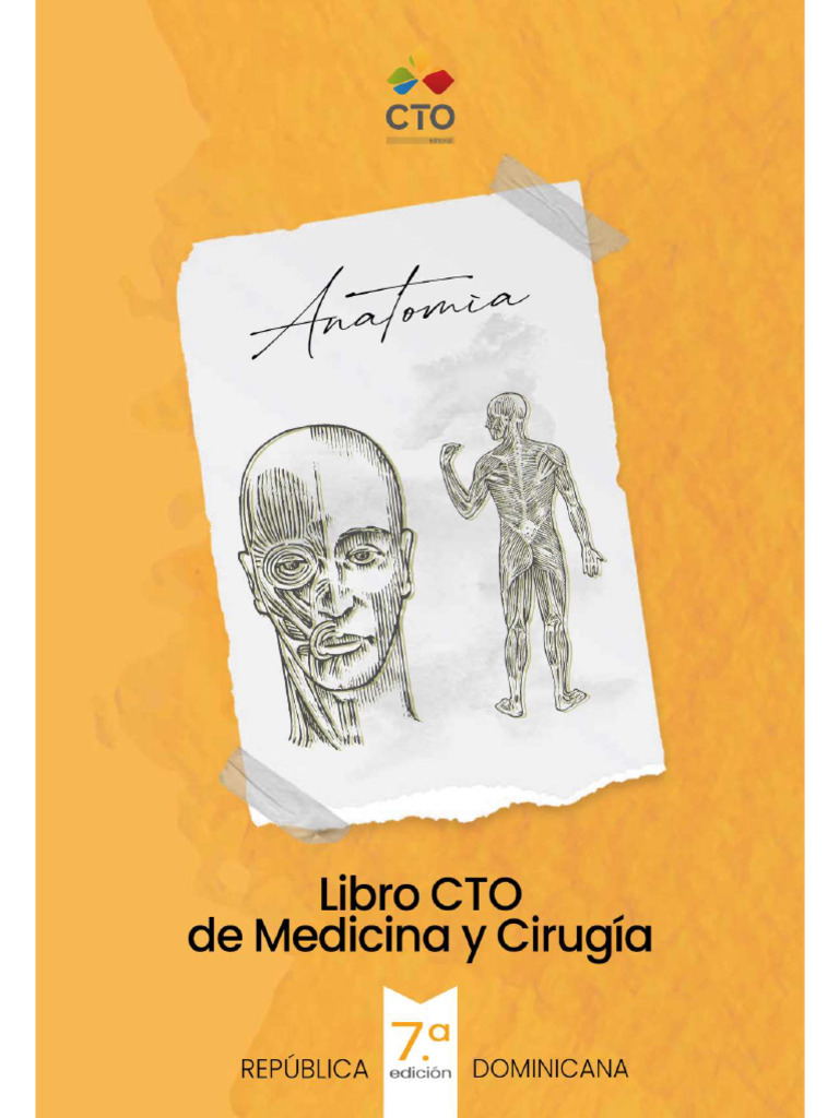 Anatomia Cto | PDF