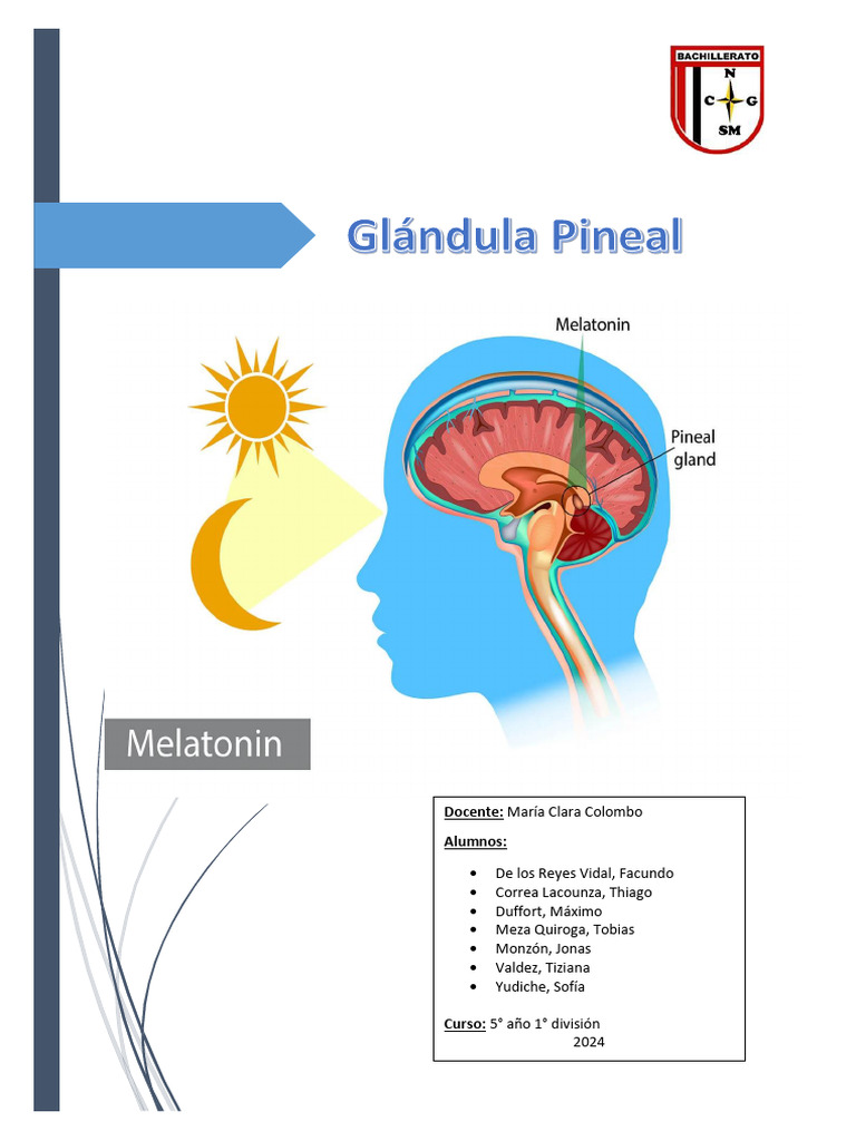Glándula Pineal | PDF | Ritmo circadiano | Serotonina