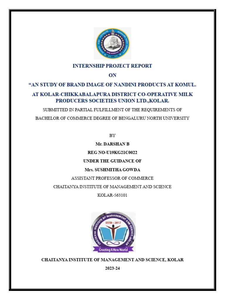 Internship Project Report Vinay | PDF