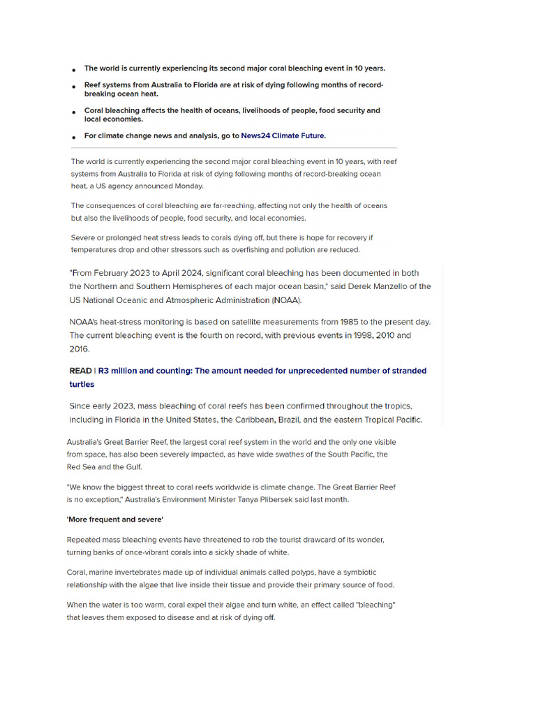 Geography Report | PDF