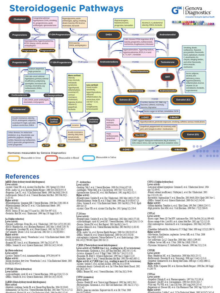 Steroidogenic Pathways PDF | PDF | Progesterone | Polycystic Ovary Syndrome