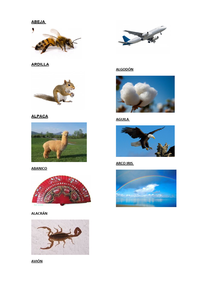ABEJA | PDF