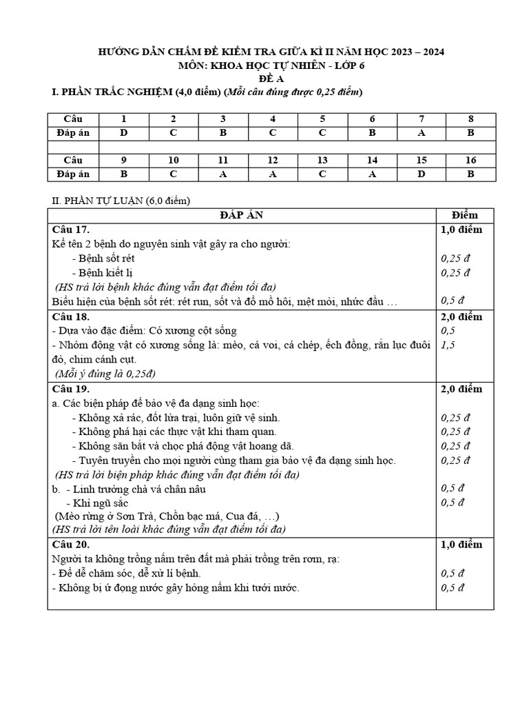 De KHTN6-GK2 - 23-24 - CT | PDF
