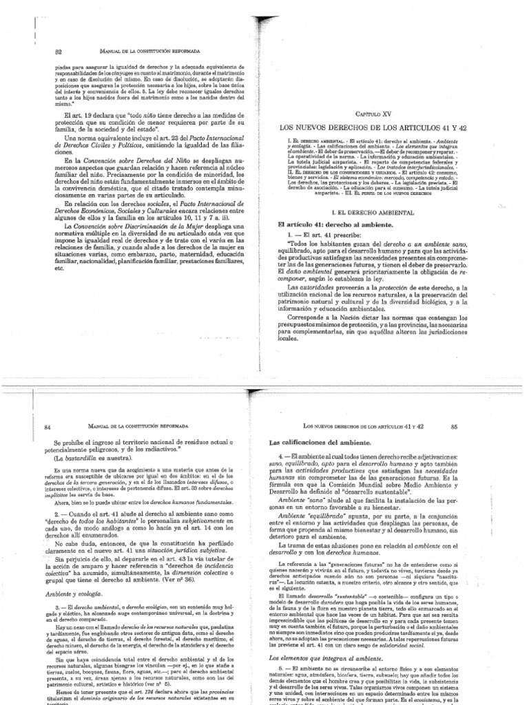 Derecho de Los Art. 41 y 42 CN. Bidart Campos | PDF
