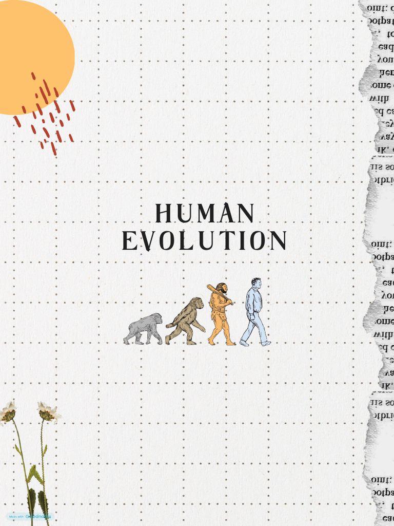 Human Evolution 2024 Teacher | PDF | Homo | Bipedalism