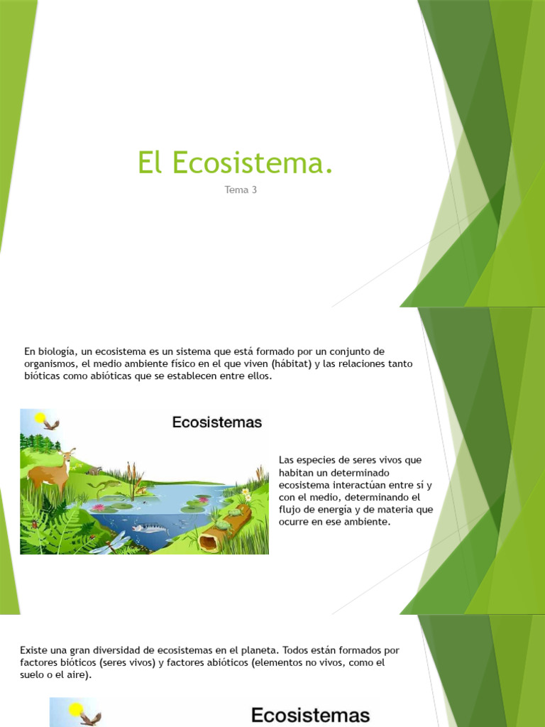 El Ecosistema. Tema 3 | PDF | Ecosistema | Red alimentaria