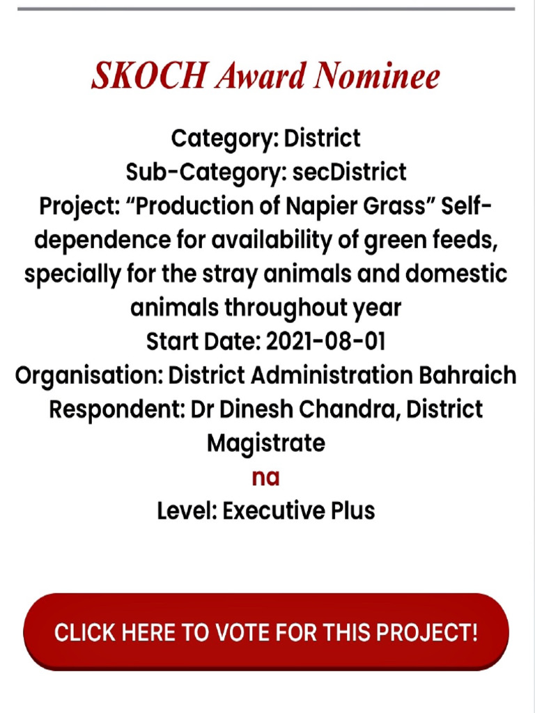 Guide For Voting Skoch Awardee | PDF