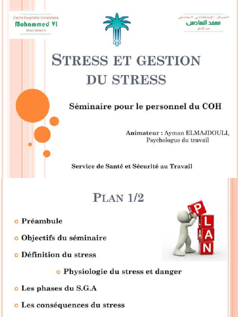 Gestion de Stress | PDF