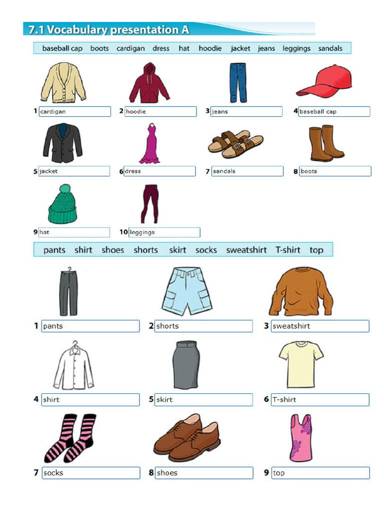 UNIT 7 Vocabulary Presentation | PDF