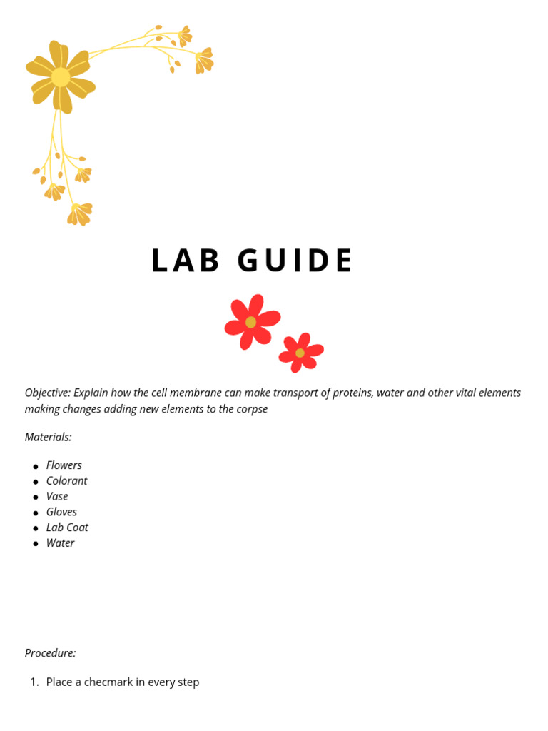 Lab Guide | PDF
