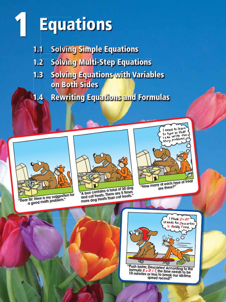 Chap 01 Equations | PDF | Equations | Algebra