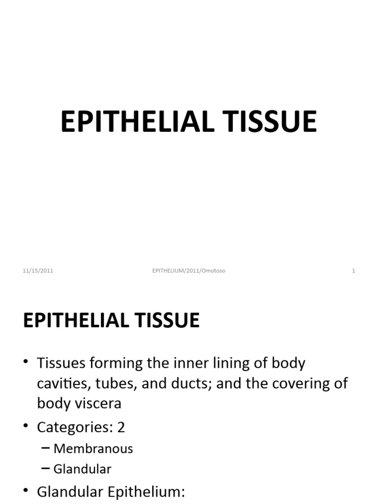 Epithelial Tissue | PDF | Epithelium | Animal Anatomy