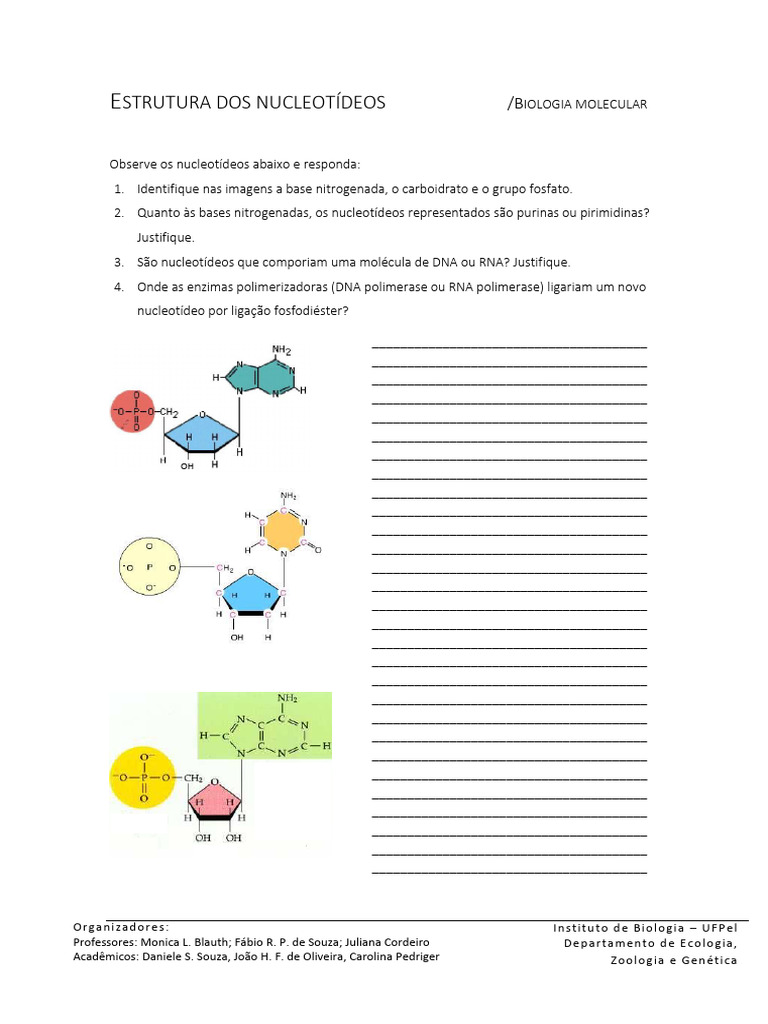 11-Estrutura Dos Nucleotídeos | PDF | Nucleotídeos | RNA