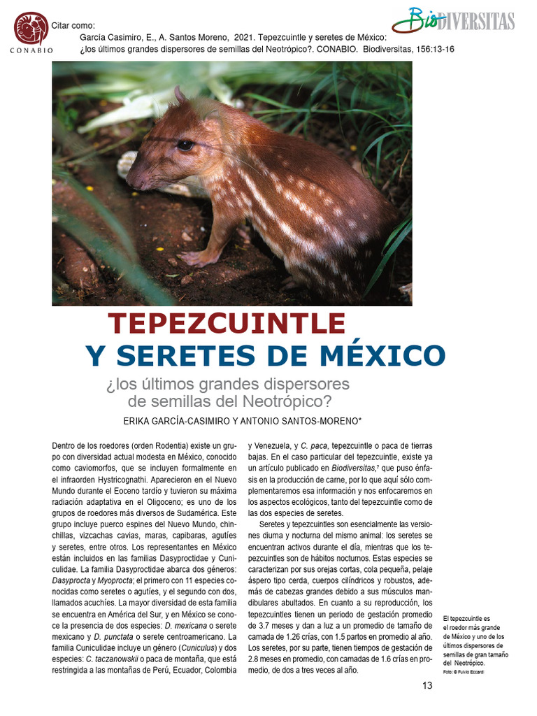 Tepezcuintle y Seretes de México - Los Últimos Grandes Dispersores de ...