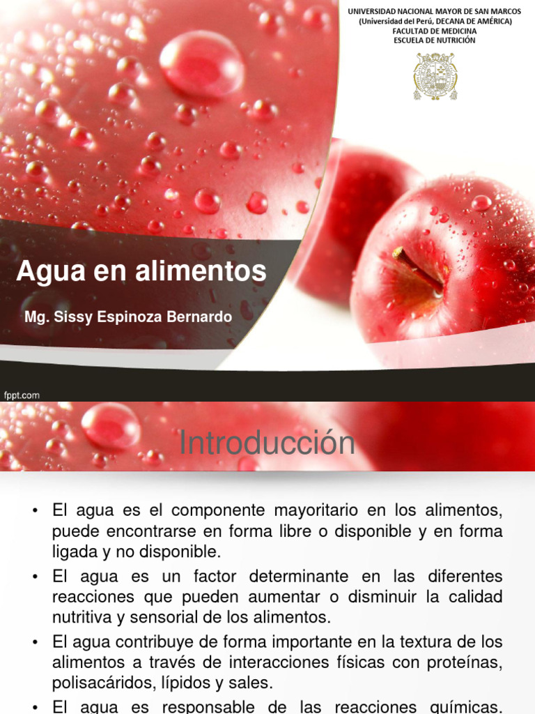 Importancia del Agua en Alimentos | PDF | Agua | Alimentos
