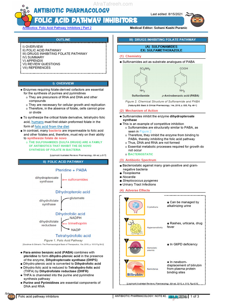 Folic Acid Pathway Inhibitors - Part 2 Atf | PDF | Enzyme Inhibitor ...