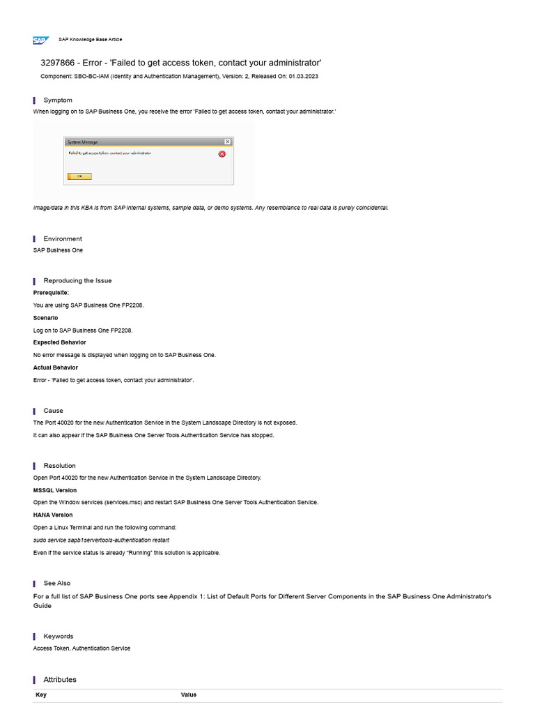 SAP Business One Access Token Error Fix | PDF