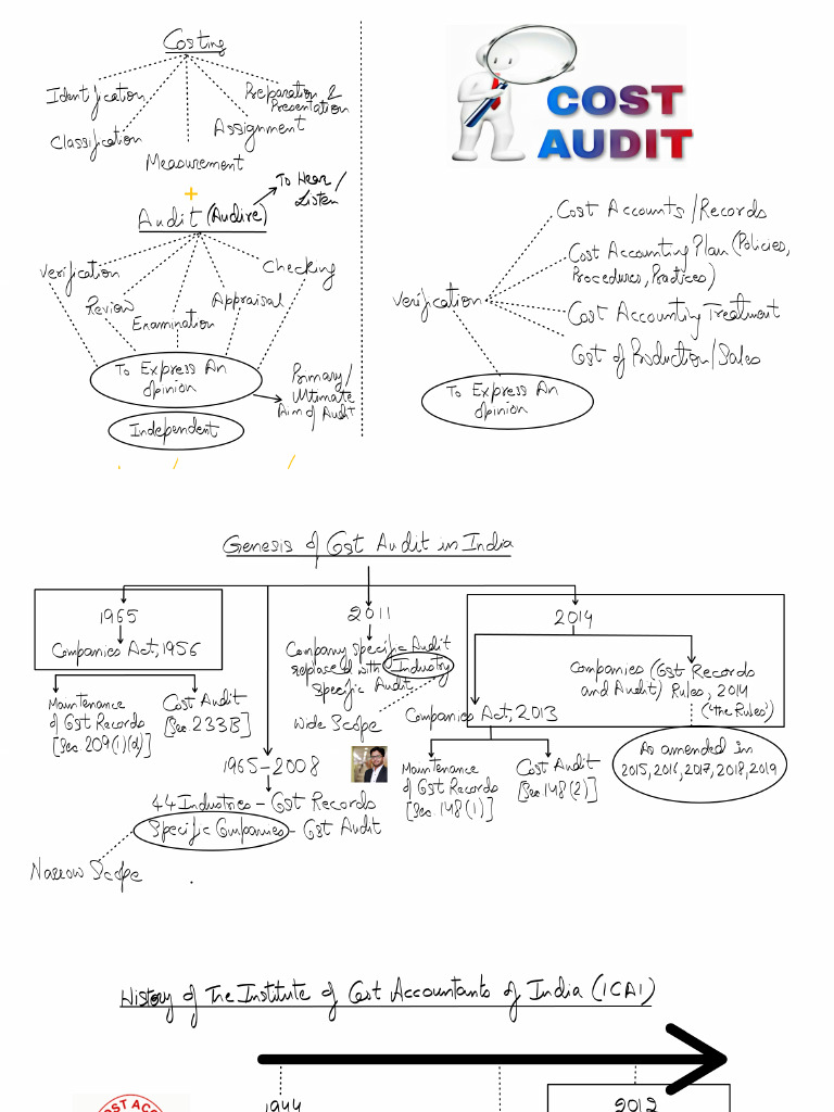 Basics of Cost Audit - CA CS CMA Nikkhil Gupta | PDF