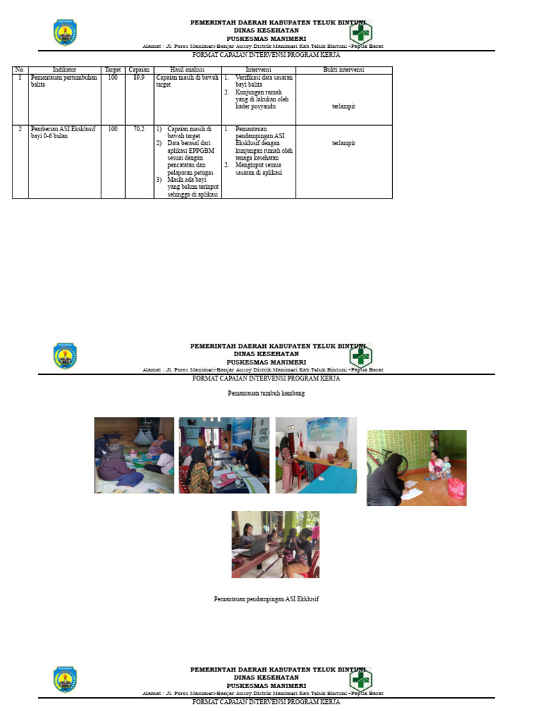 Format Capaian Kinerja Program | PDF