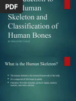The Skeletal System - Skeleton - Living Organisms - KS3 Biology - BBC ...