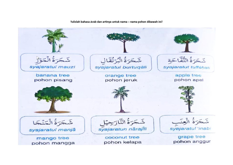 Nama Pohon Dalam Bahasa Arab | PDF