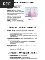 Phases of Muscle Twitch and Tetanus | PDF | Muscle Contraction ...