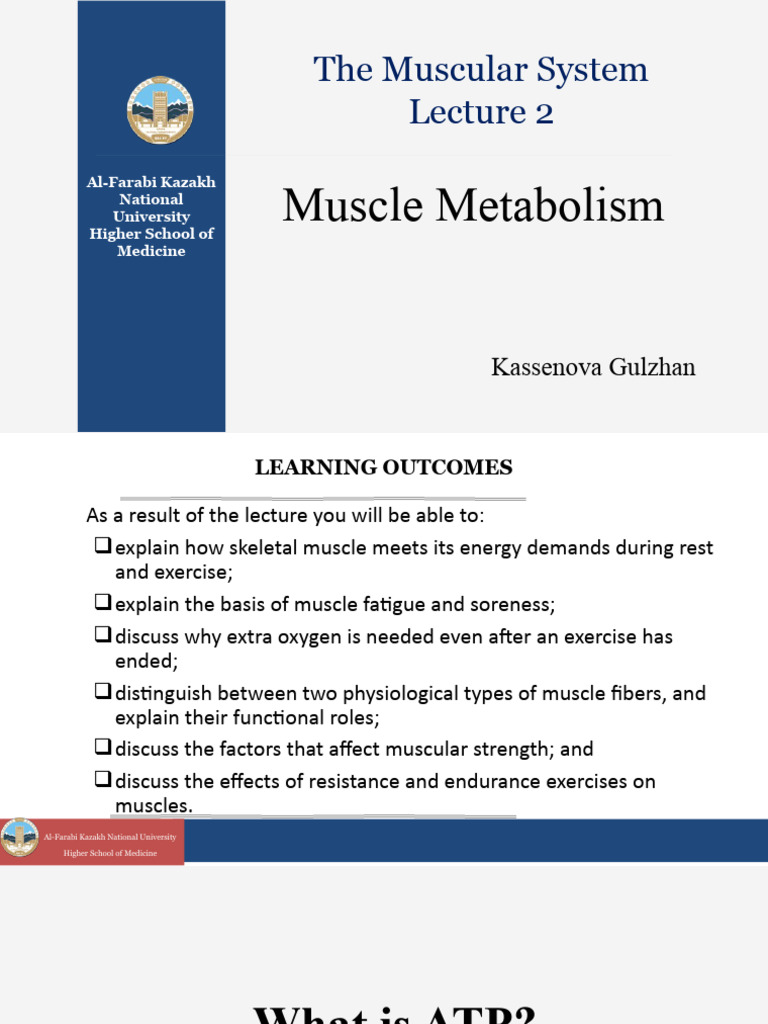 Muscle Metabolism: Energy and Fatigue | PDF | Cellular Respiration ...