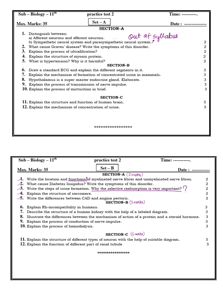 11th Grade Biology Practice Test 2 | PDF | Kidney | Nerve