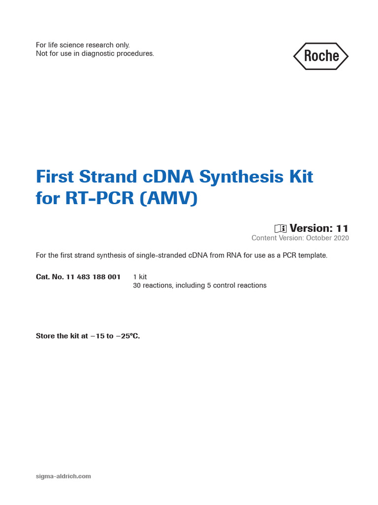 First Strand cDNA Synthesis Kit For RT-PCR (AMV) : y Version: 11 | PDF ...
