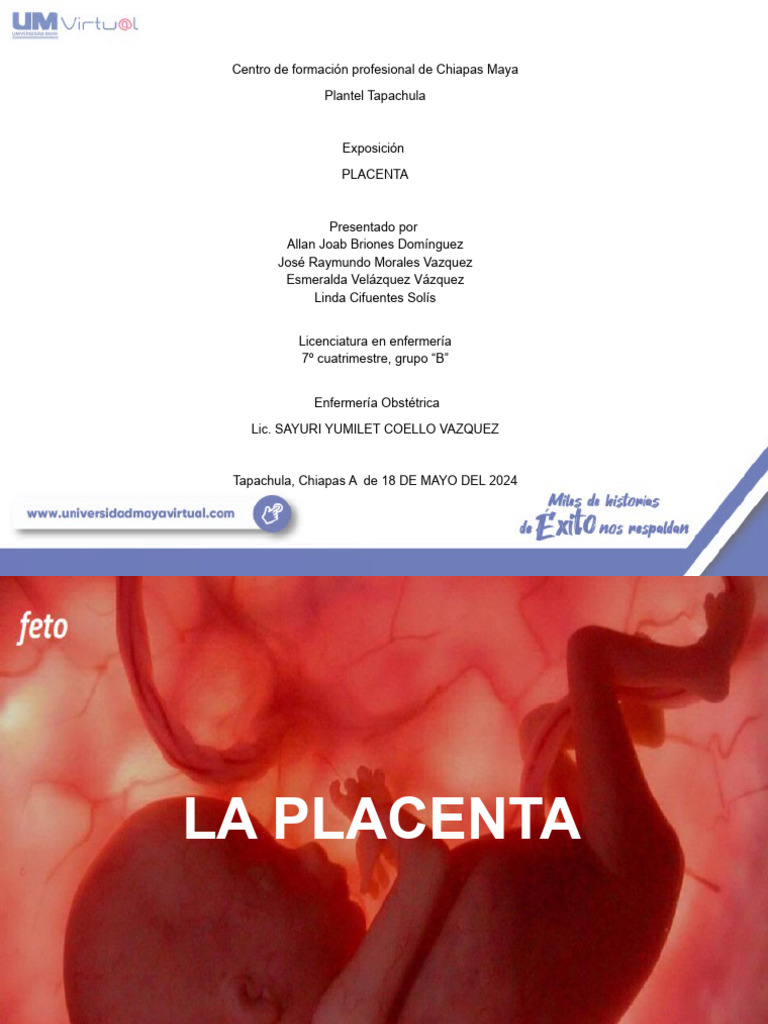 diapositivas LA PLACENTA | PDF | Placenta | Feto