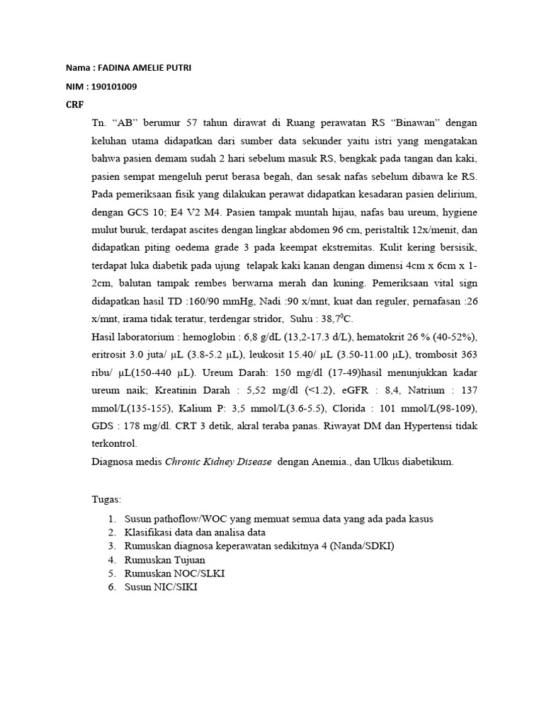 Fadina Amelia Putri Analisa Kasus | PDF | Kesehatan Holistik